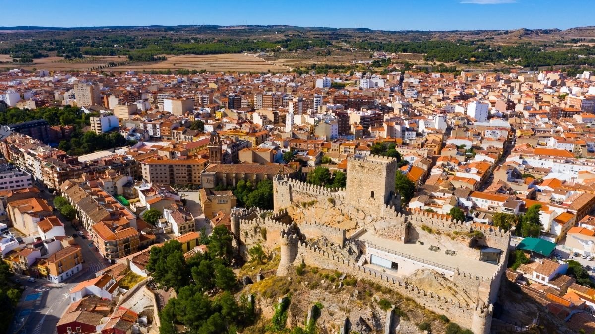 Avances para la creación de la Ruta del Vino de Almansa