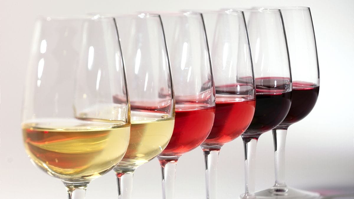 Qué son los Vinos de Pago y por qué se llaman así
