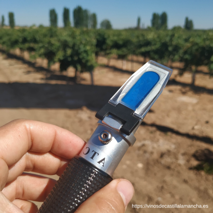 Qué es el grado baumé de la uva y cómo se mide - VinosCLM MEDIA
