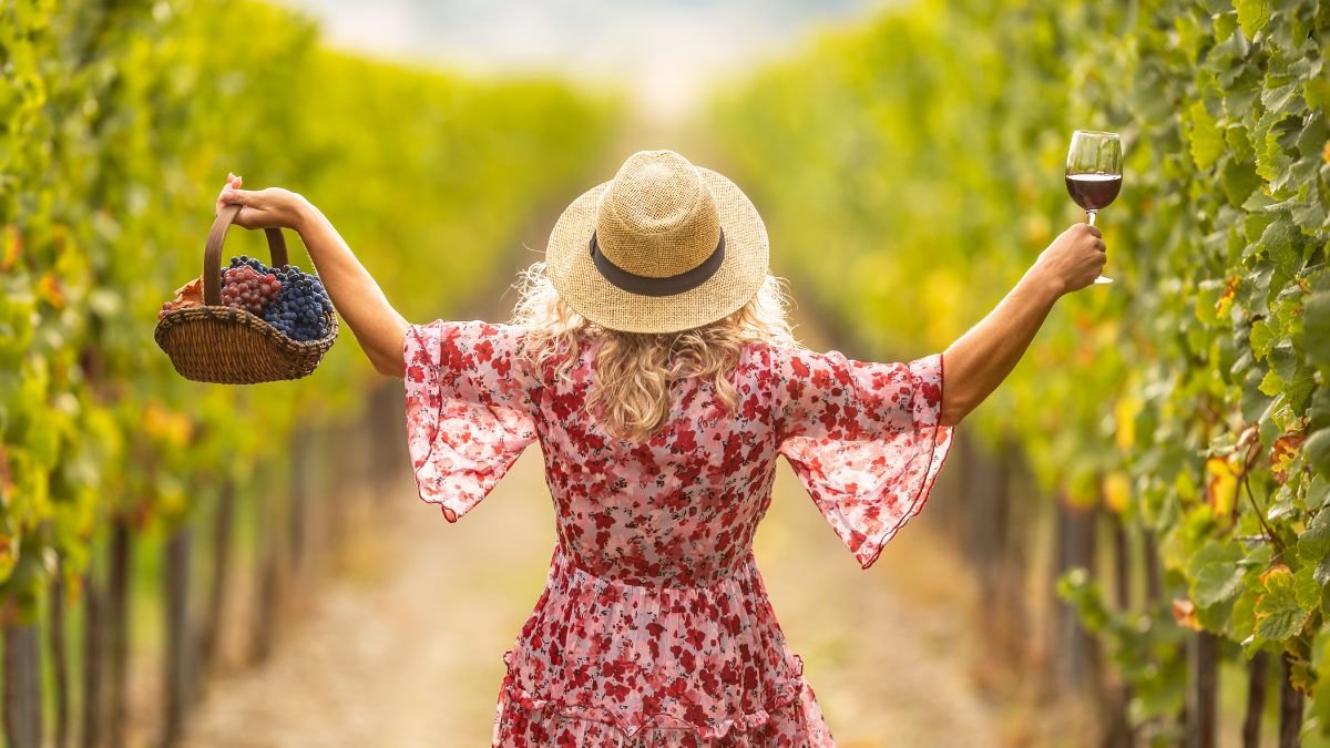 Las 10 marcas de vino más admiradas del mundo en 2025 - VinosCLM MEDIA