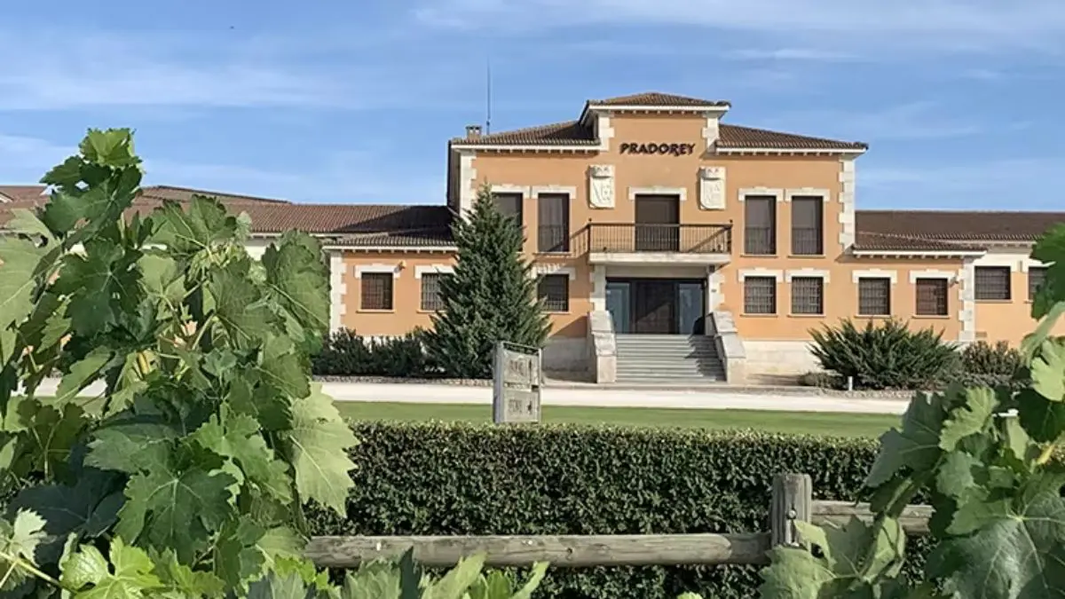 Pradorey, entre la bodegas más sostenibles de España tras recibir el ...